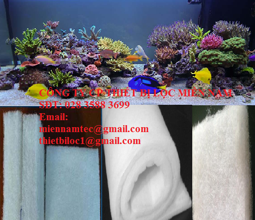 BÔNG LỌC HỒ, BÔNG LỌC, BÔNG LỌC HỒ CÁ